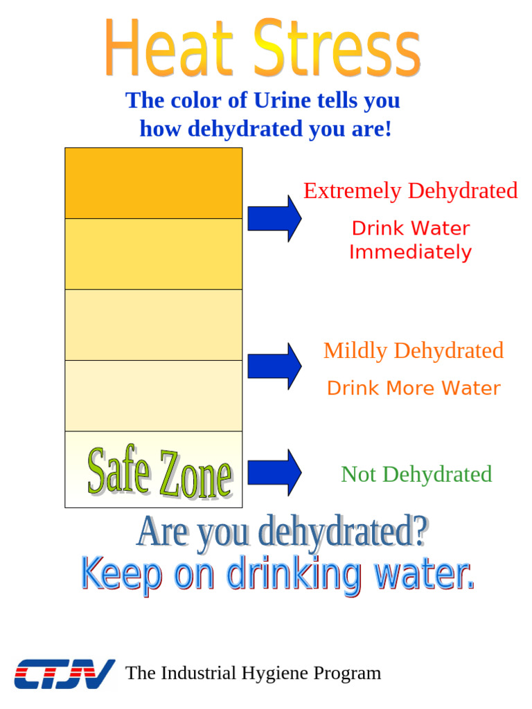 Urine Color Guide for Hydration Levels | PDF