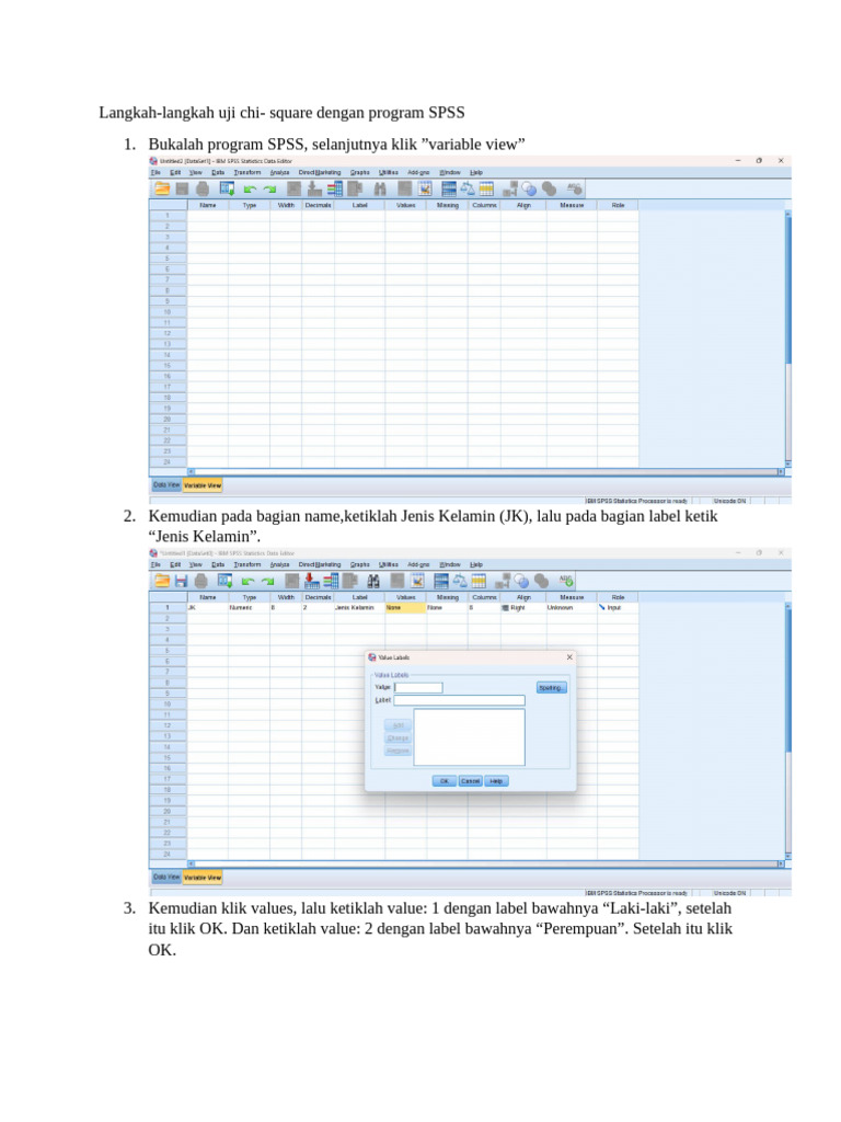 Langkah-Langkah Chi-Square | PDF