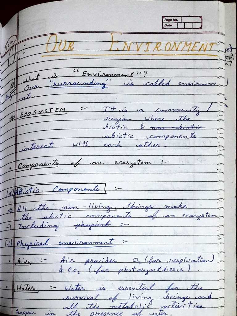 Class 10 Handwritten Notes Our Environment | PDF | Earth Sciences ...
