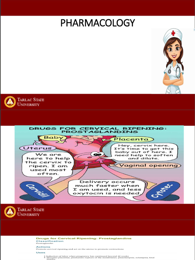 Pharmacology Week 12 Reproductive Nervous System | PDF | Biology ...