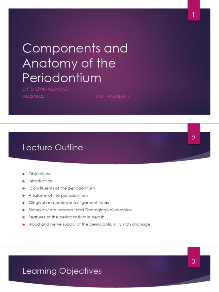 Components and Anatomy of The Periodontium BOH & BDT 2 | PDF | Epithelium | Mouth