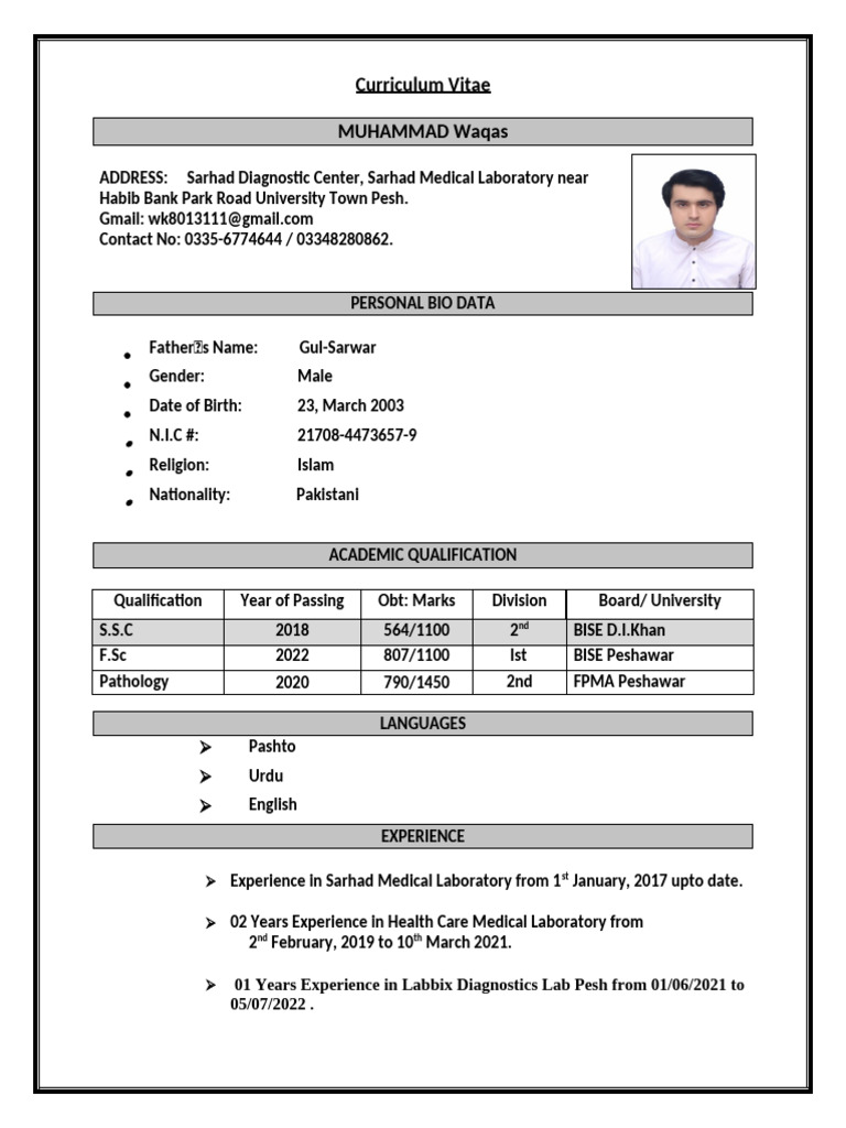 Muhammad Waqas Curriculum Vitae | PDF