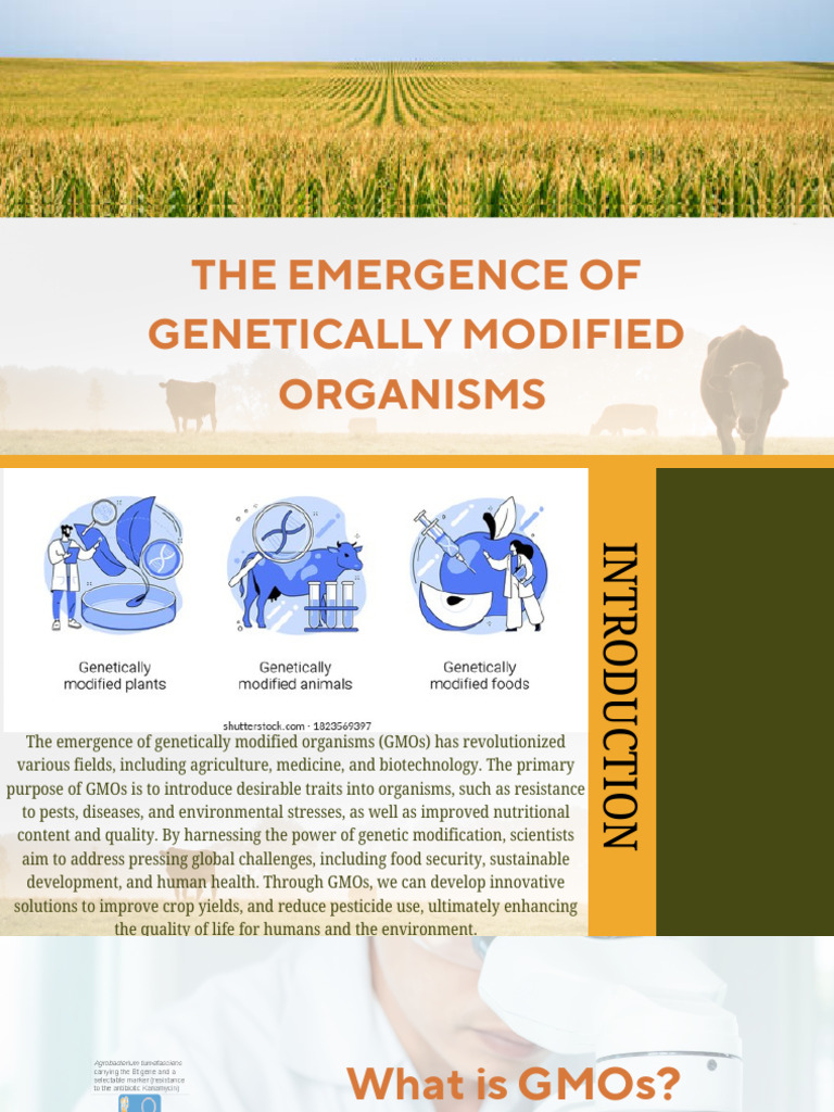 Understanding Genetically Modified Organisms | PDF | Genetically ...