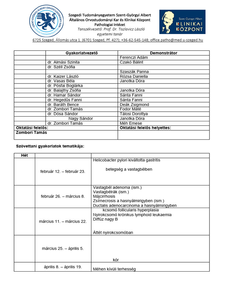 Magyar gyakorlat tematika | PDF