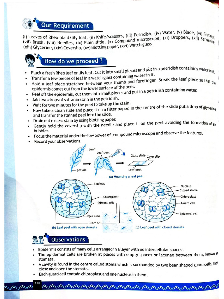 Biology (Practical File) Class 10 | PDF