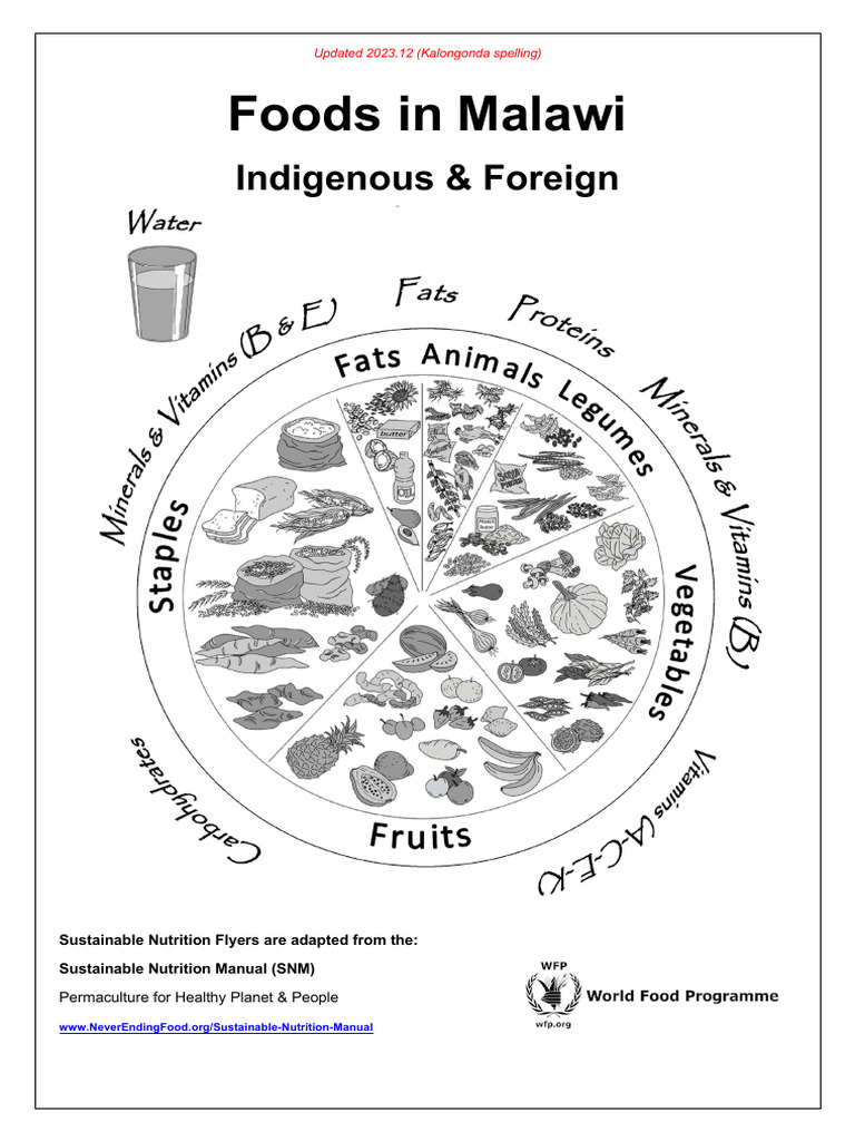 SNM PPP Flyer Malawi Food List (2024.12 Updated) | PDF | Staple Foods | Foods