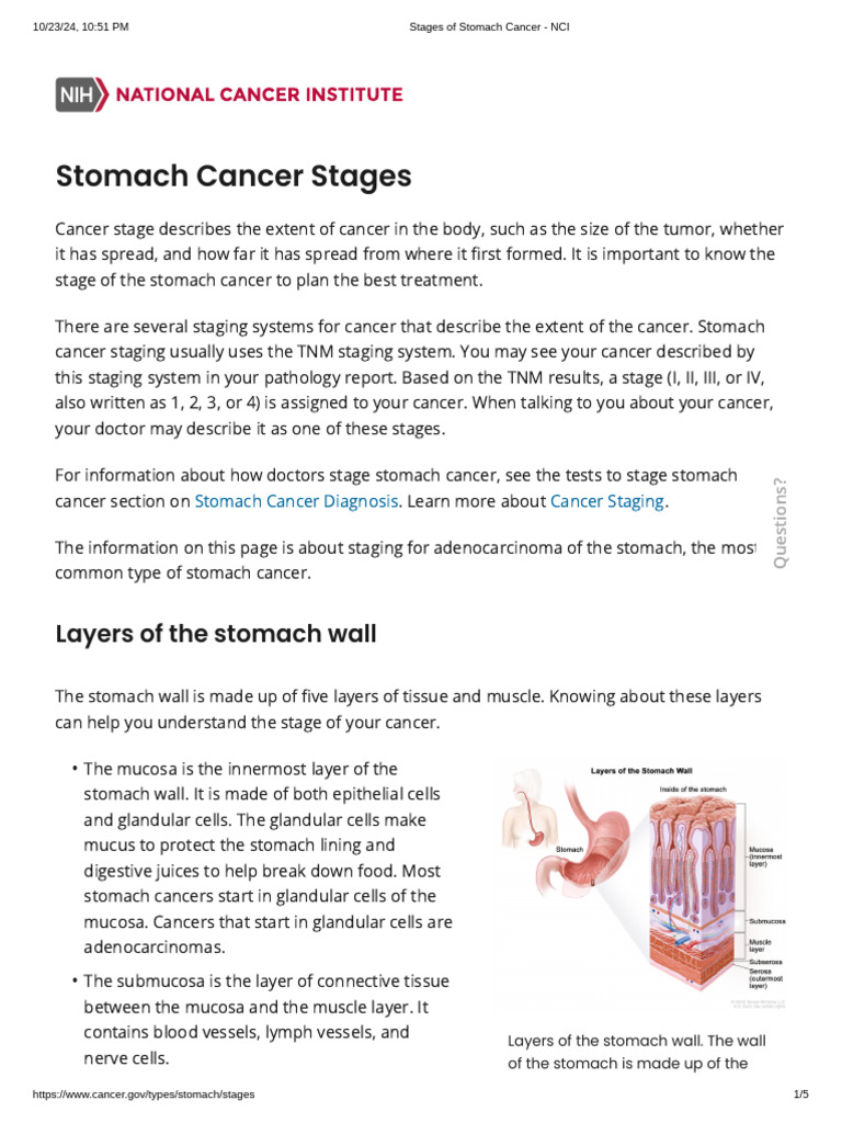 Stages of Stomach Cancer - NCI | PDF | Metastasis | Stomach