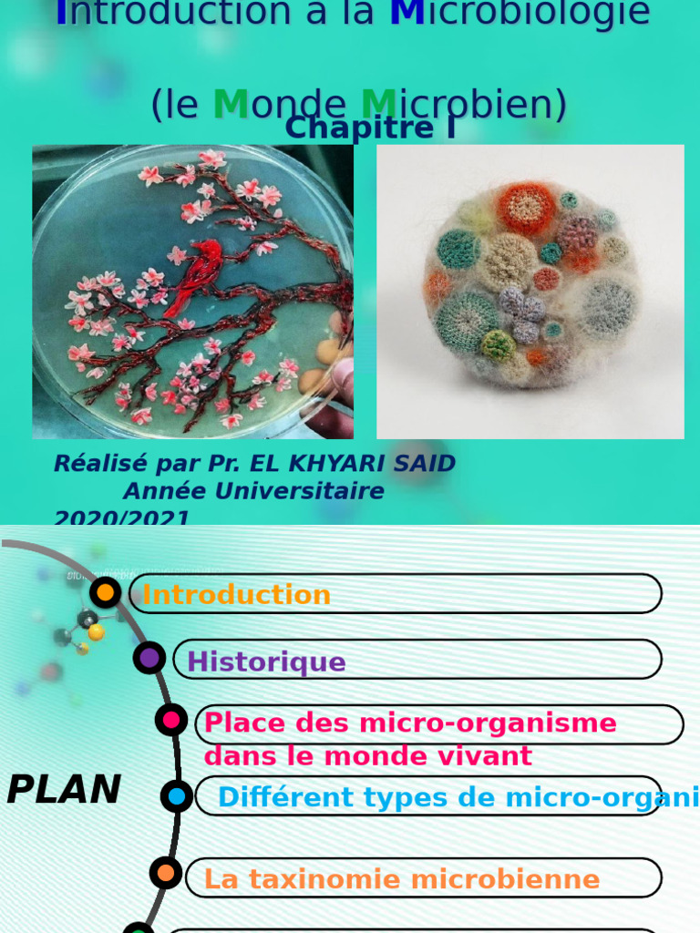 Cours Micro S3 Chap I 2020 2021 Version Teams 1 | PDF | Micro-organisme | Cellule (Biologie)