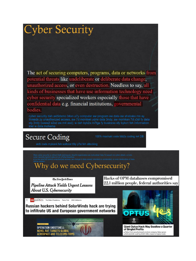 SW Security - Midterm | PDF