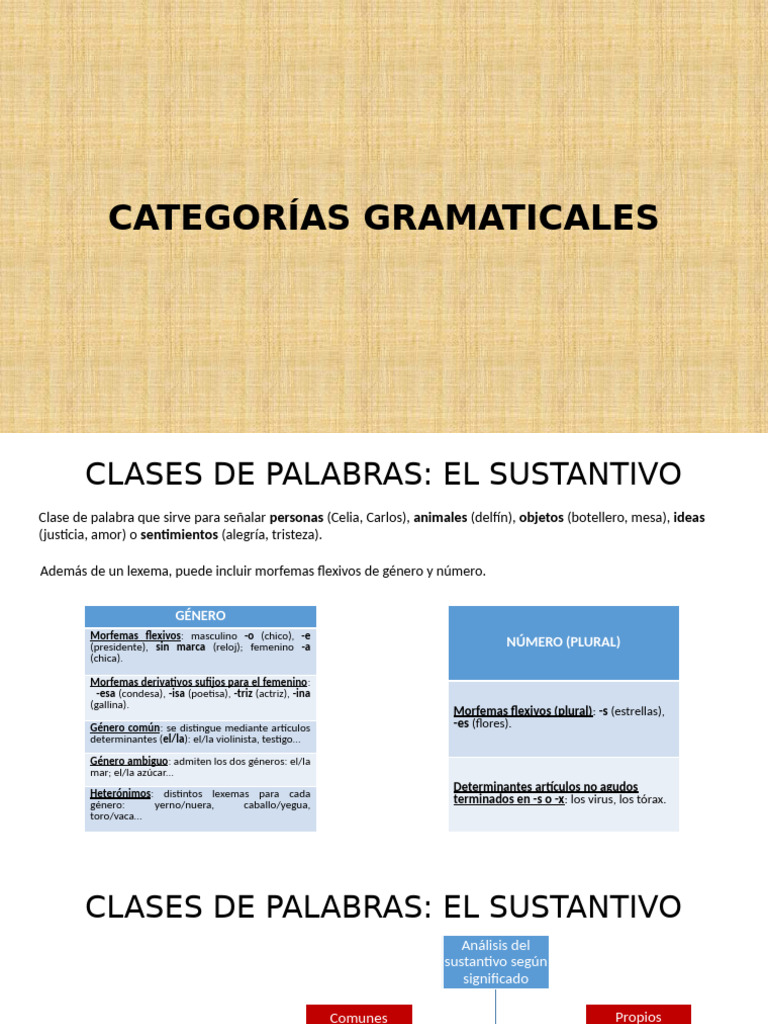 Categorías gramaticales (2) | PDF | Adjetivo | Sustantivo