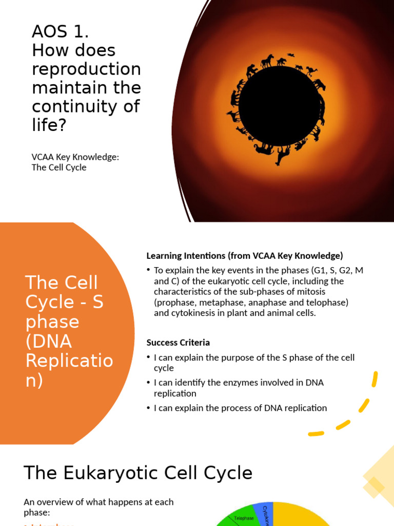Understanding DNA Replication in Cells | PDF | Dna Replication | Dna