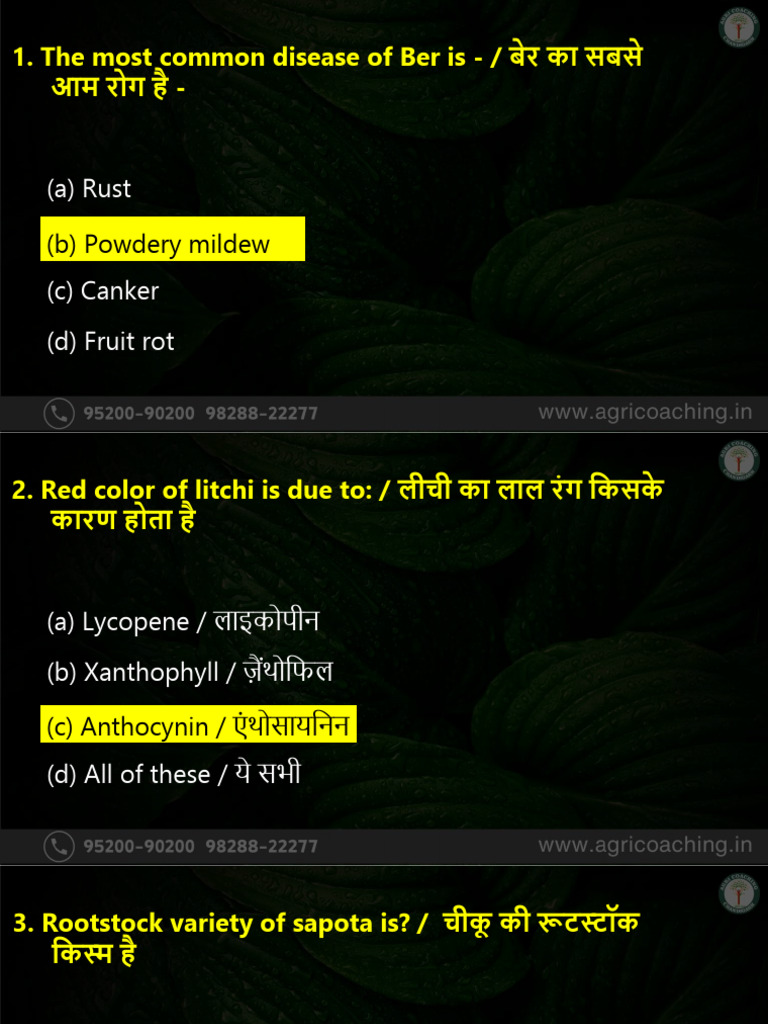 The Most Common Disease of Ber Is - /: (A) Rust (B) Powdery Mildew (C ...