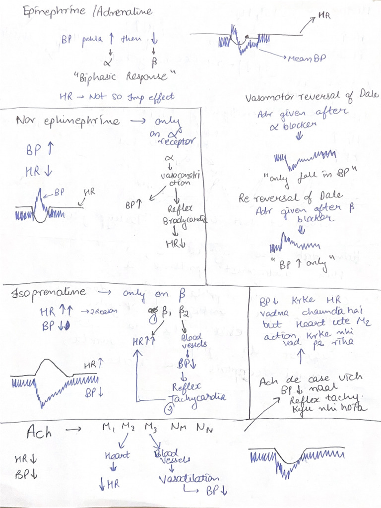 CAL Lab Experiment | PDF