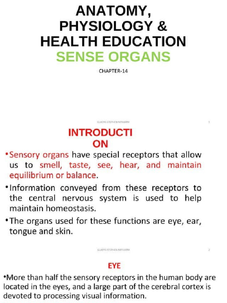 Sense Organs 77100034 | PDF