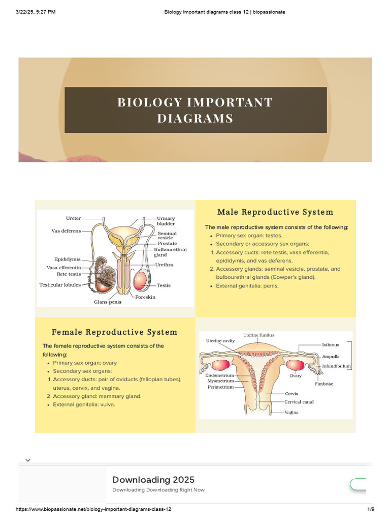 Biology Important Diagrams Class 12 - Biopassionate | PDF | Dna | Repressor