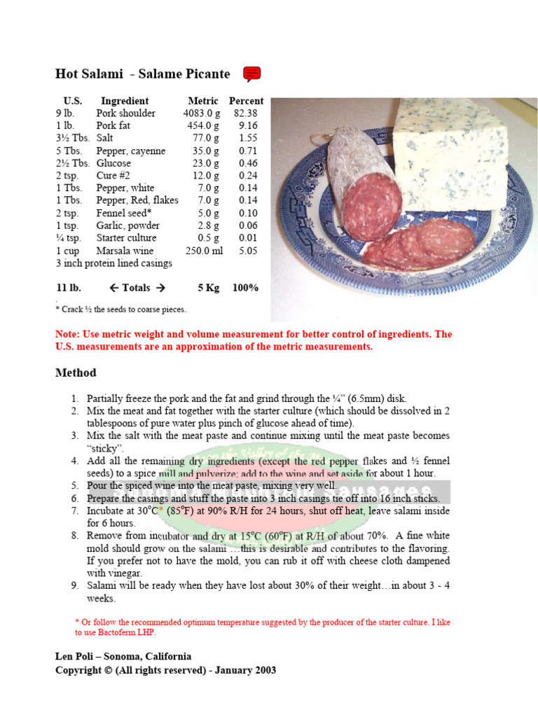 Hot Salami - Salami Hot | PDF