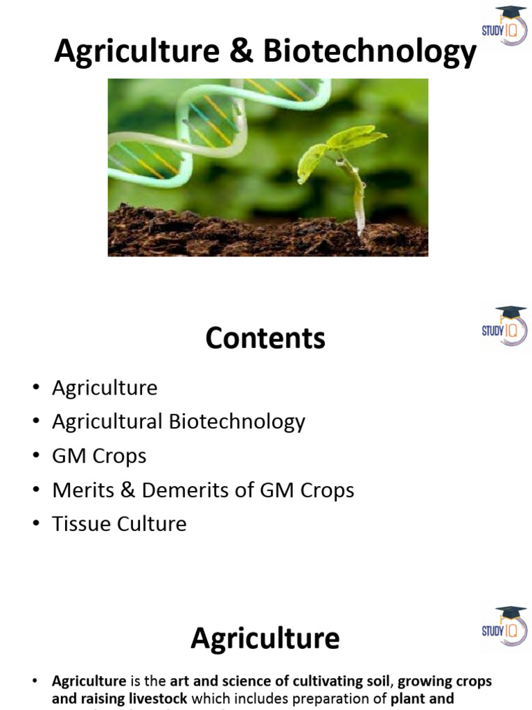 Biotechnology and Agriculture | PDF | Agriculture | Genetically ...
