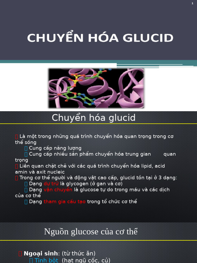 Chuyen Hoa Glucid | PDF