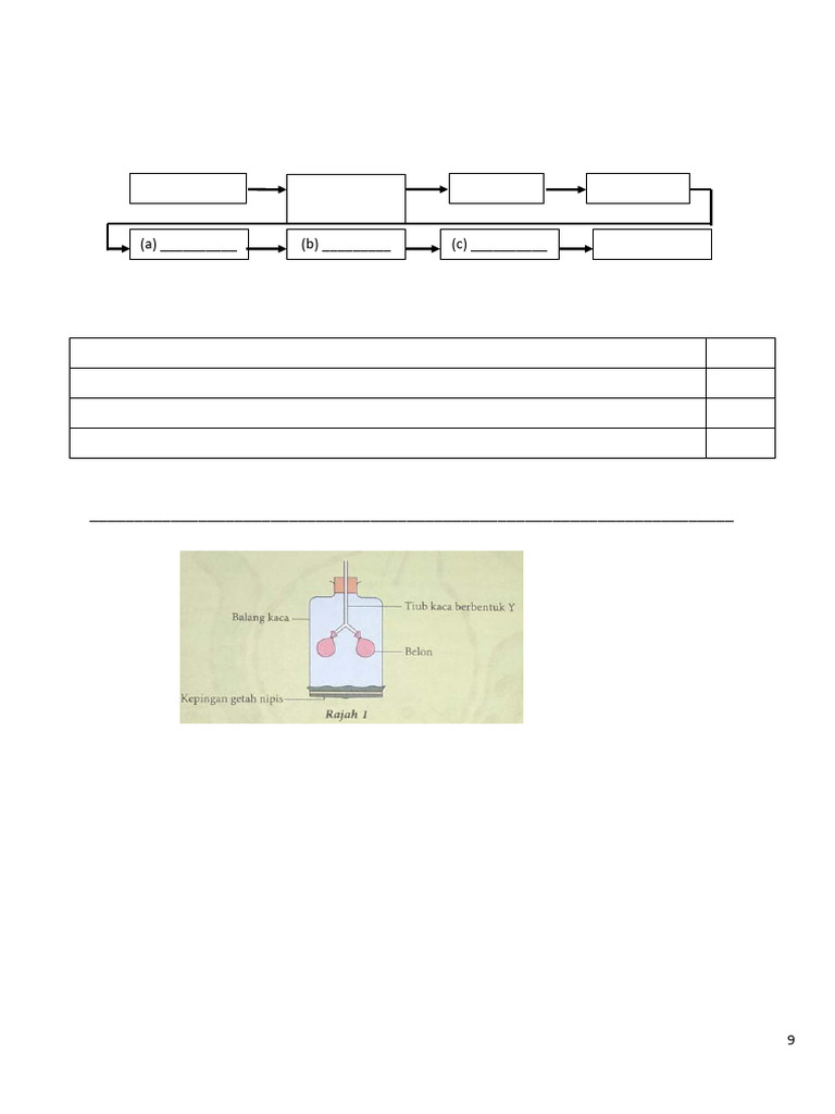Modul Sains T3 B2 | PDF