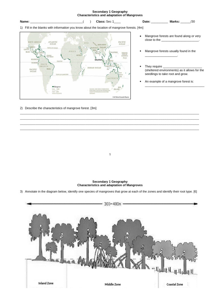 WS3 (Express) Characteristics and adaptation of Mangroves | PDF ...