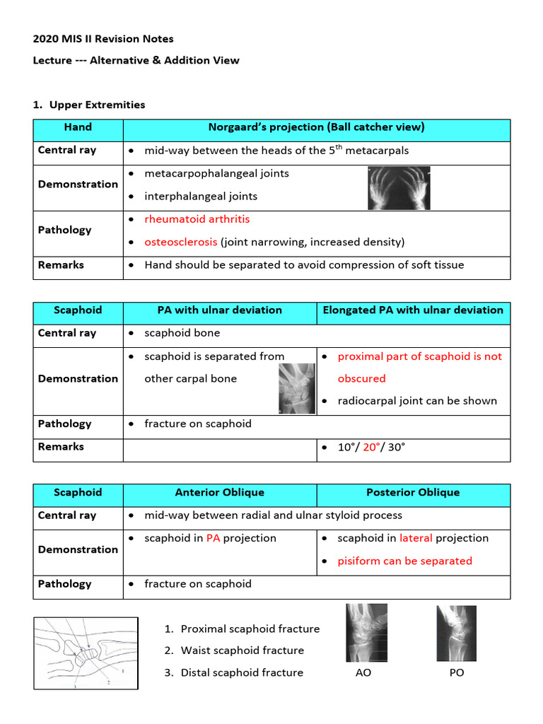 MIS II Lecture Revision Note | PDF | Elbow | Vertebral Column