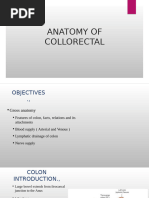 Anatomy of Appendix and Colon Explained | PDF | Large Intestine | Anatomy