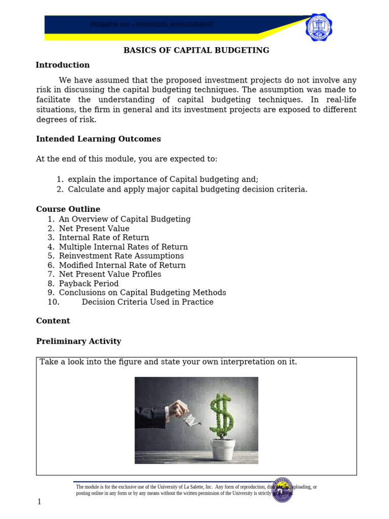 Capital Budgeting Techniques Explained | PDF | Net Present Value ...