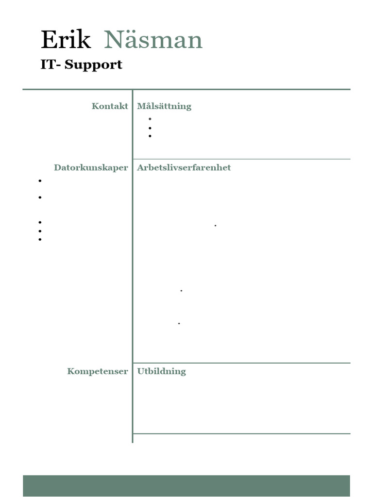 Erik Näsman CV 2024 - Kopia | PDF