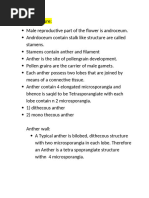Anatomy and Structure of Anther | PDF | Plant Reproduction | Botany