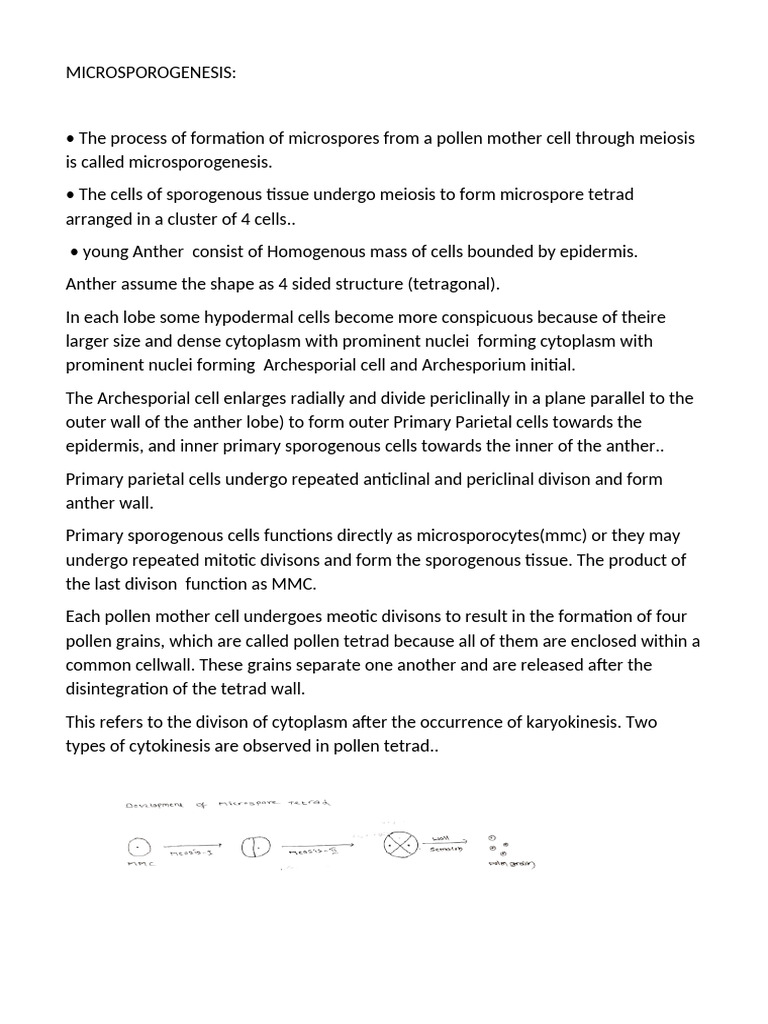 MICROSPOROGENESIS | PDF