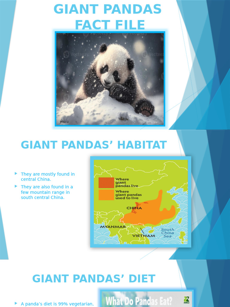 Giant Pandas | PDF