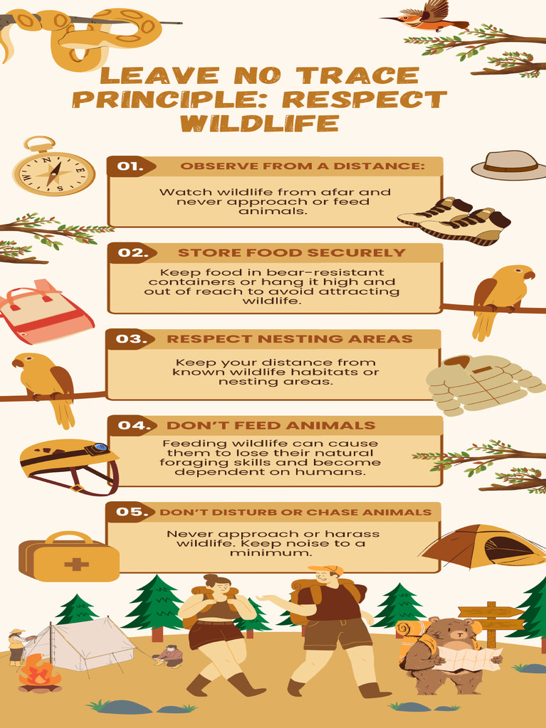 Brown Illustrative 5 Tips For Self Hiking Infographic | PDF