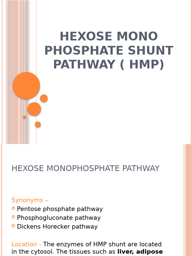 HMP Shunt Pathway: Importance & Functions | PDF | Biomolecules | Metabolism