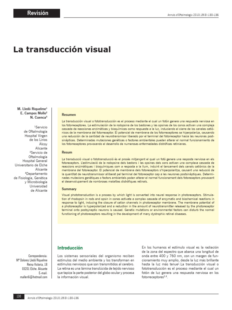 Proceso de Transducción Visual en Retina | PDF | Percepción visual | Retina