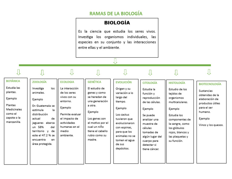 Ramas de la Biología y sus Estudios | PDF | Biología | Evolución