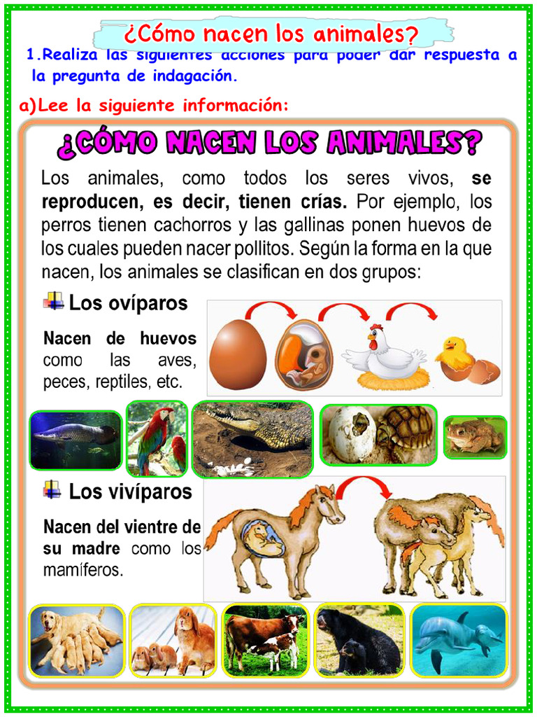 Ficha Cómo Nacen Los Animales | PDF
