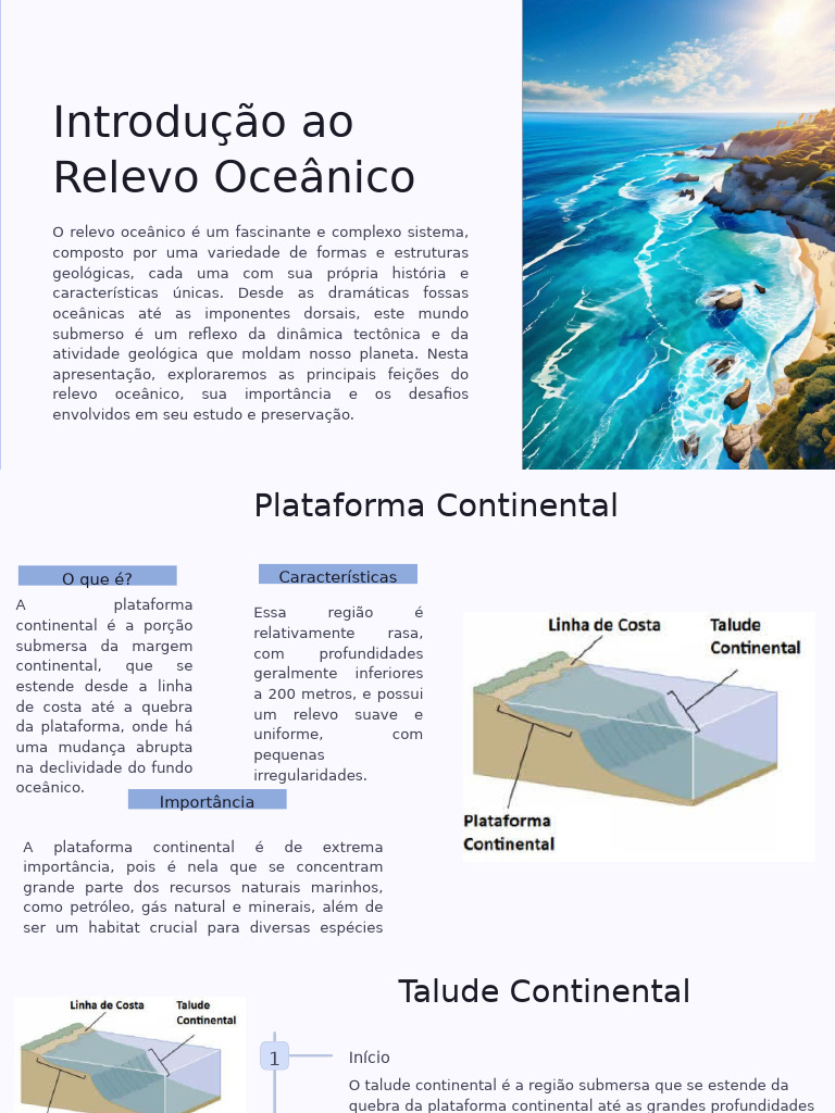 Formas do Relevo Oceânico | PDF | Oceanos | Solo oceânico