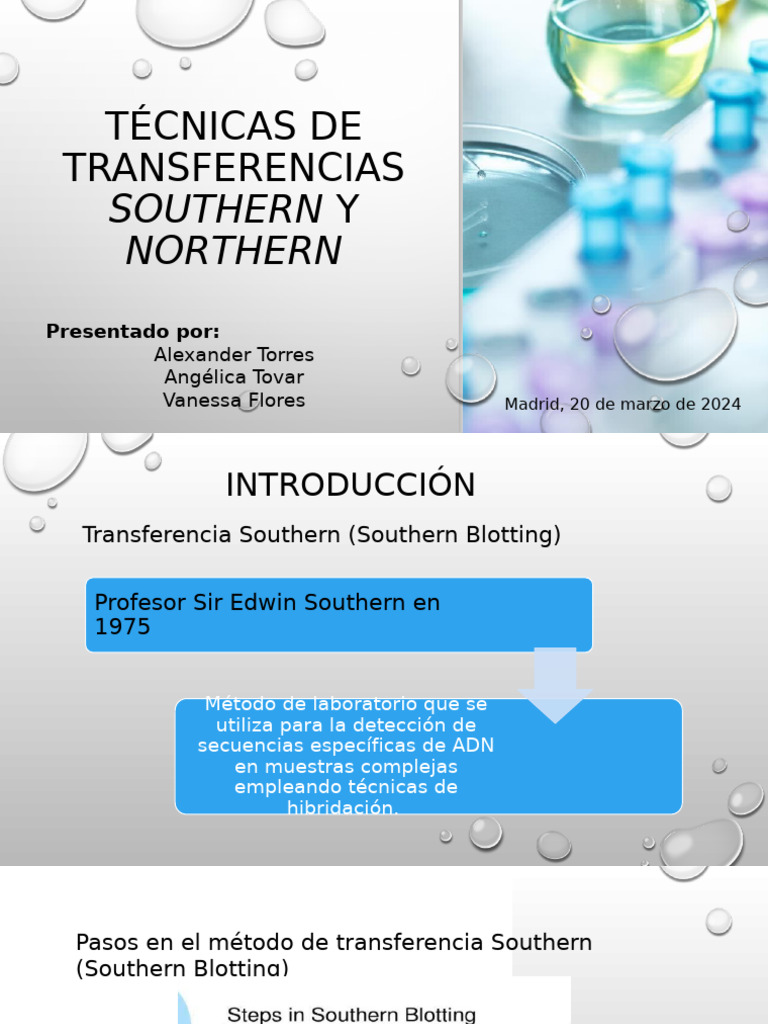 Técnicas de Transferencias Southern y Northern - PPTM | PDF