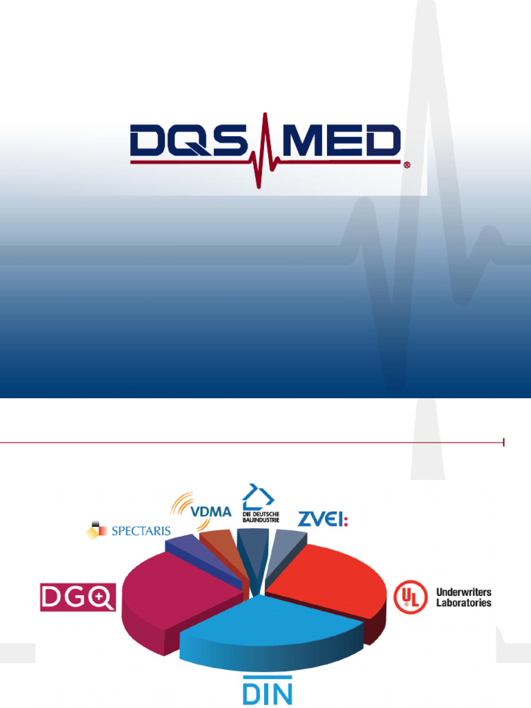 301 01e Dqs-Med Presentation 2019 8 | PDF | Medical Device | Audit