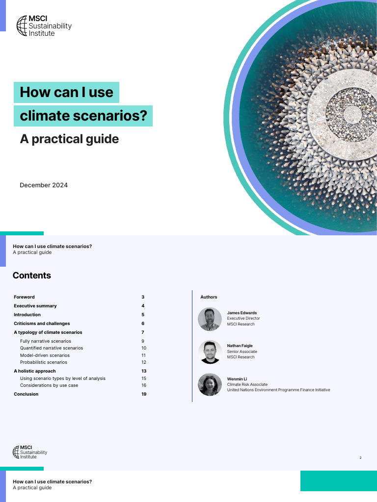 MSCI Report | PDF | Risk | Scenario Planning