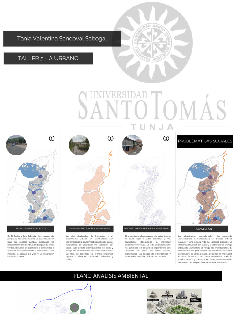 PROBLEMATICA | PDF | Sustentabilidad | Infraestructura