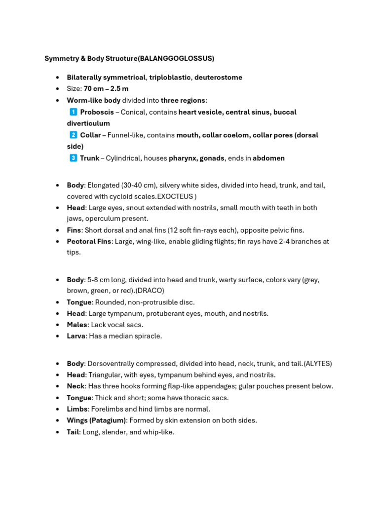 Symmetry & Body Structure | PDF | Mouth | Anatomical Terms Of Location