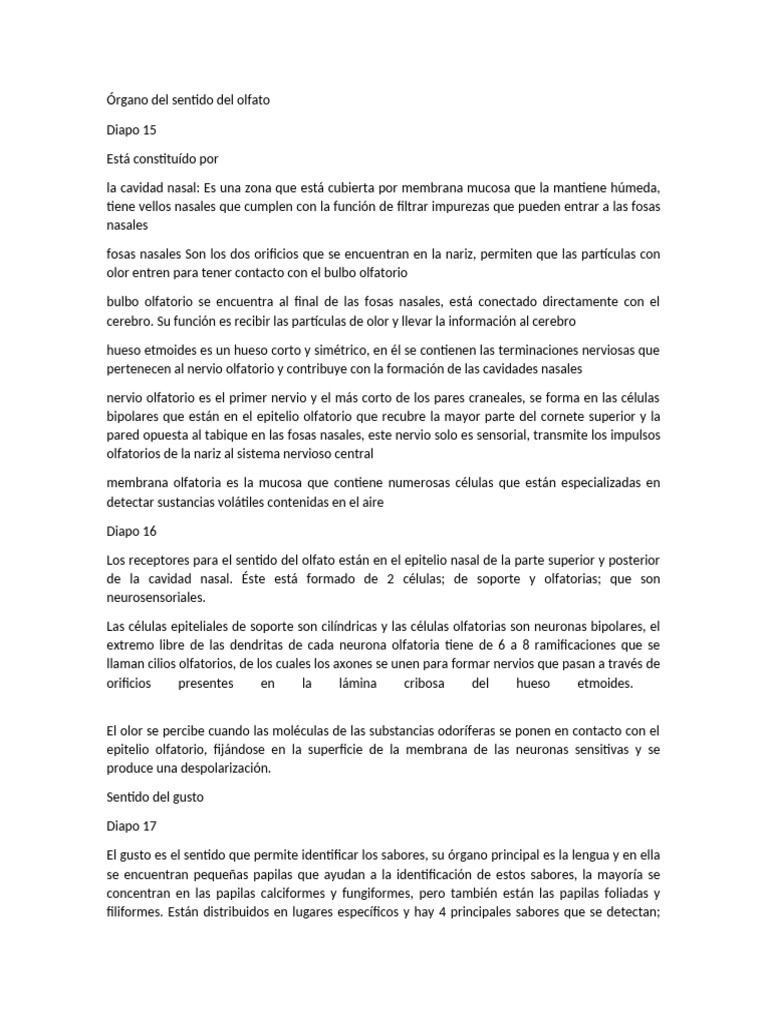 Info Organos de Los Sentidos | PDF | Ojo humano | Percepción visual