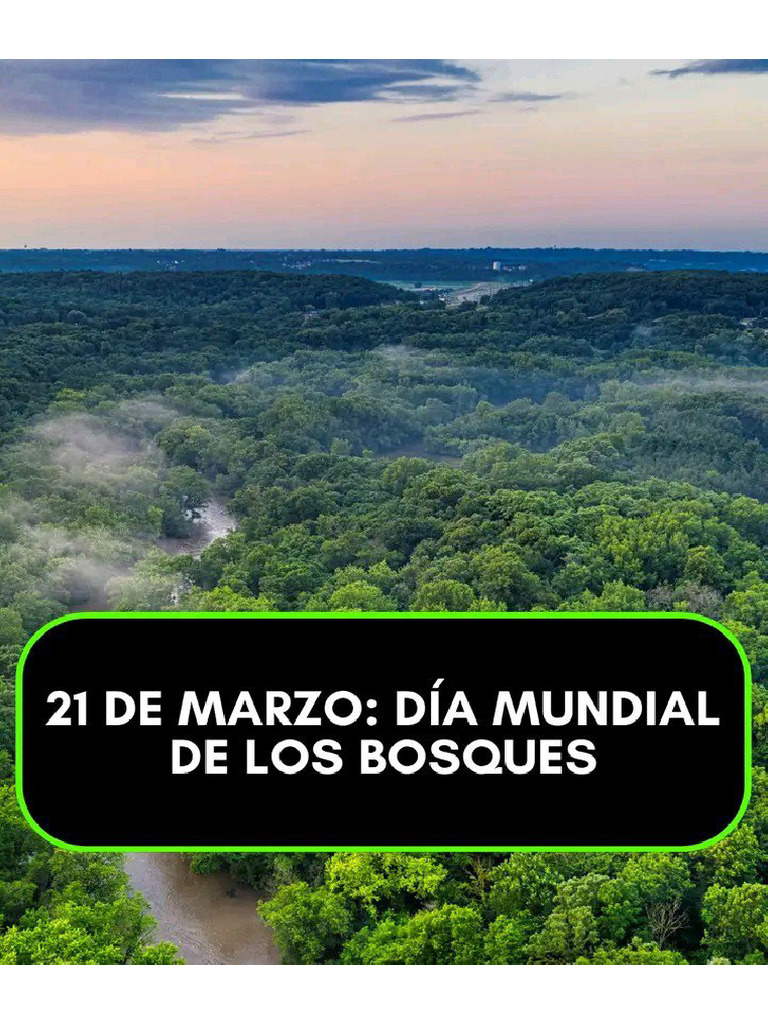 Bosques | PDF
