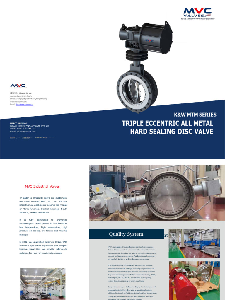 Triple Eccentric Disc Valve Solutions | PDF | Valve | Hydraulics