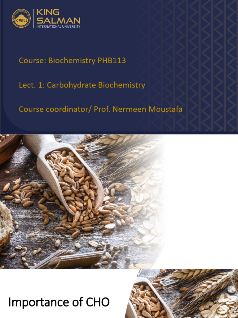 Carbohydrate Biochemistry Overview | PDF | Carbohydrates | Organic ...