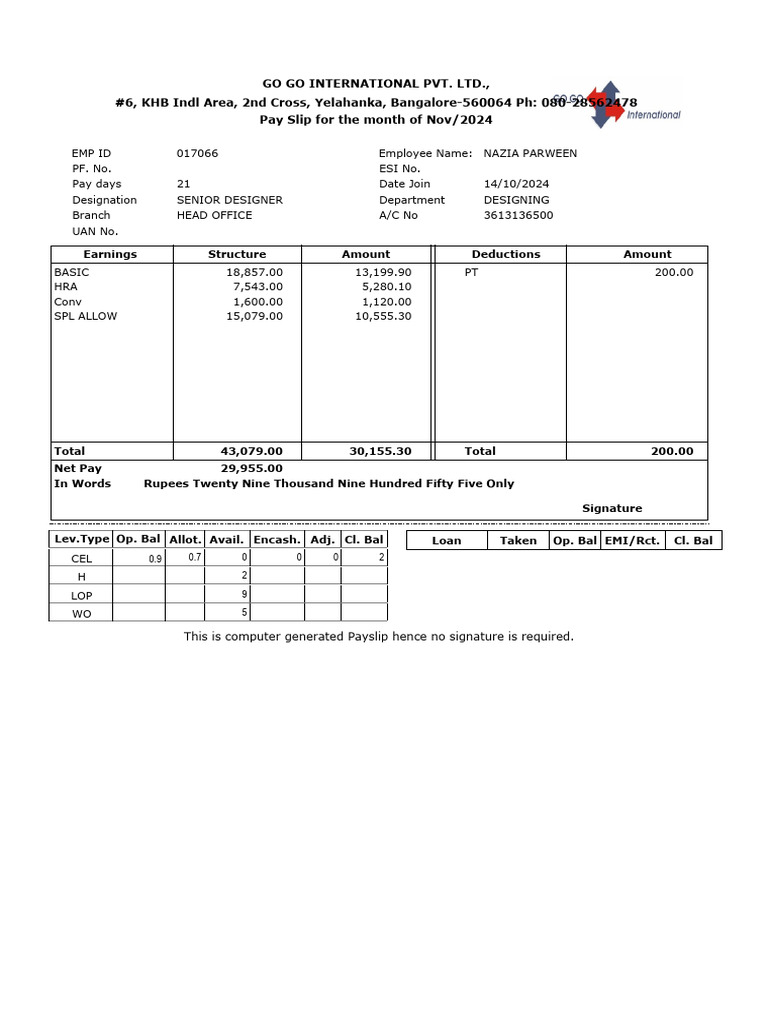 November 2024 Pay Slip for Senior Designer | PDF