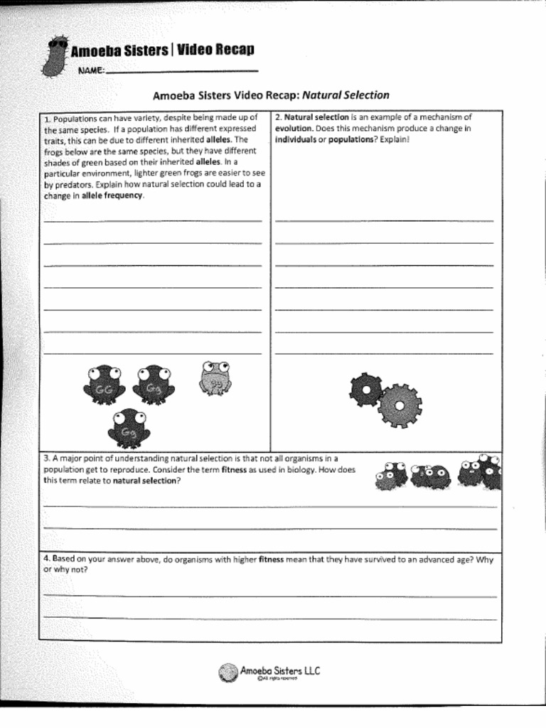 Amoeba Sisters Natural Selection | PDF