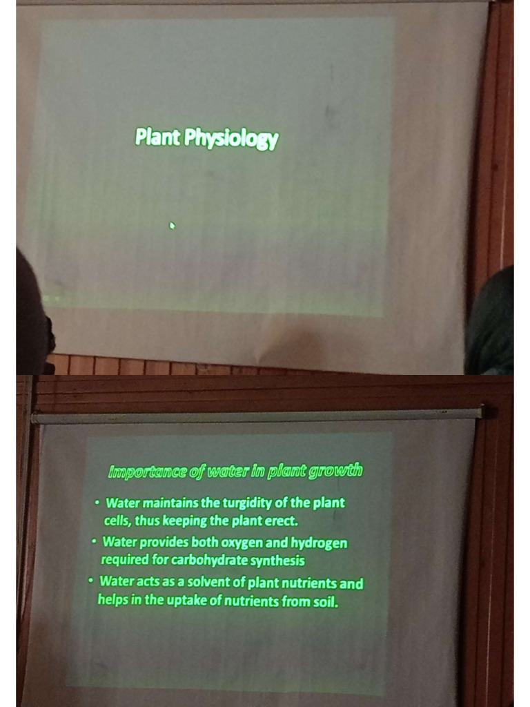 Plant Physiology Pdf