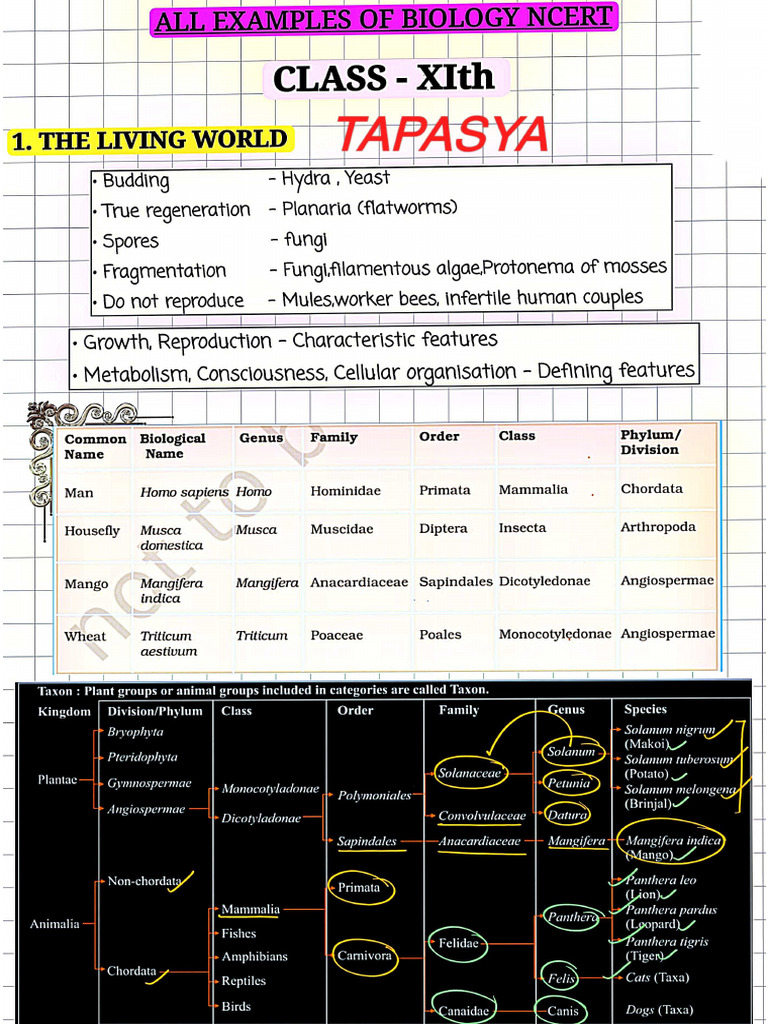 All Examples 11th Biology | PDF